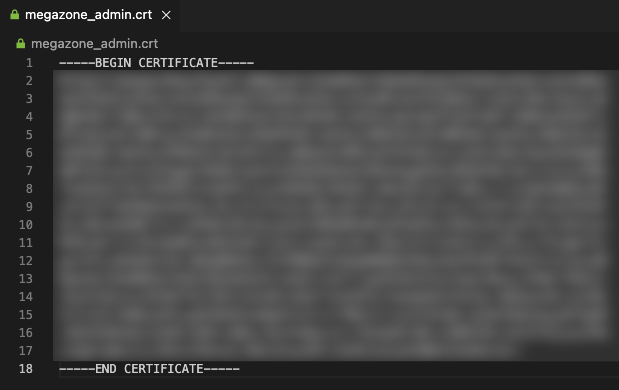 Google Workspace 앱 추가하기 – Megazone PoPs